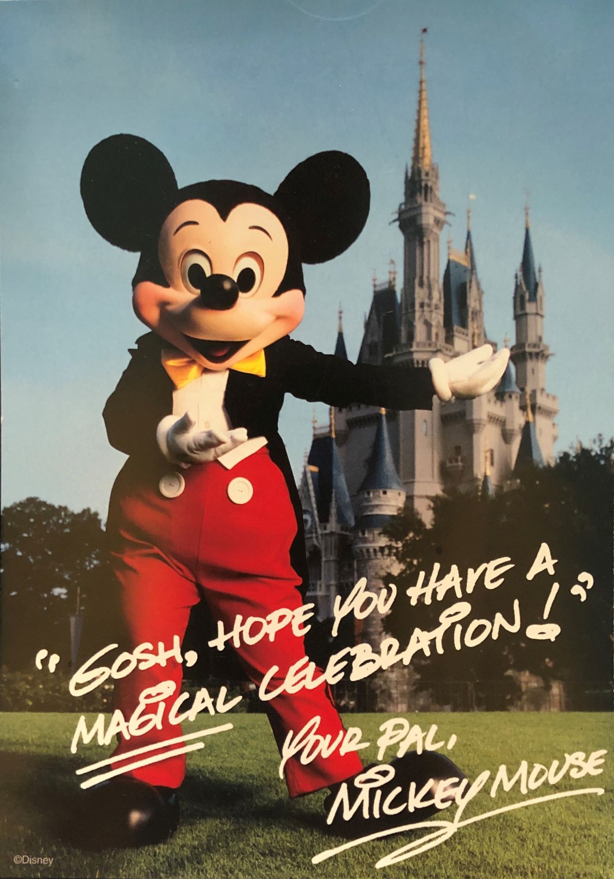 Mickey Mouse Promo Card & Postcard Set | Disleelandia