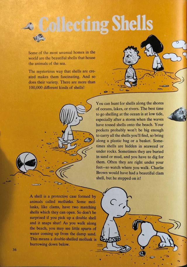 Book Review: Charlie Brown’s Super Book | Disleelandia