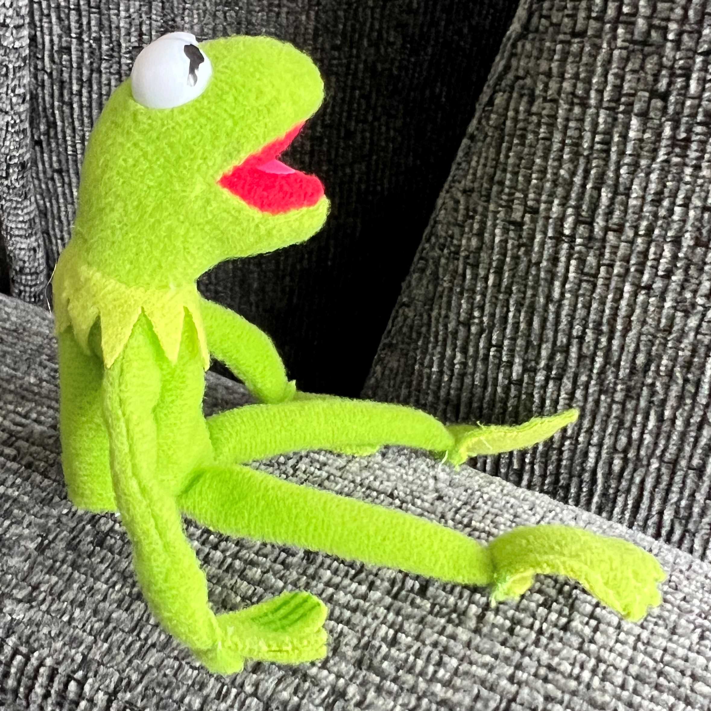 Starbucks Kermit the Frog Finger Puppet | Disleelandia